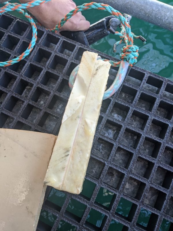 Modular Cable Buoy - Senior Project Expo