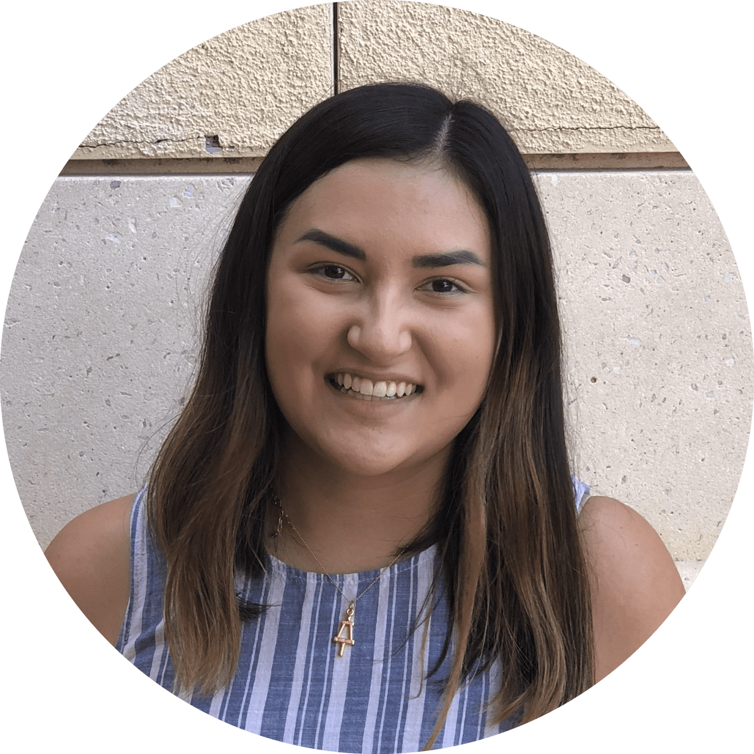 Optical Filter Selector | Senior Project Expo